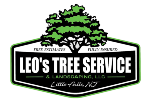 Leo's Tree Service - Professional Tree Services for Home & Business